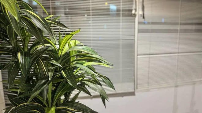 渋谷駅徒歩30秒|24名個室|ミーティング|セミナー|商談|ボードゲーム|推し会|パーティー|当日予約歓迎<ルームA>の写真16