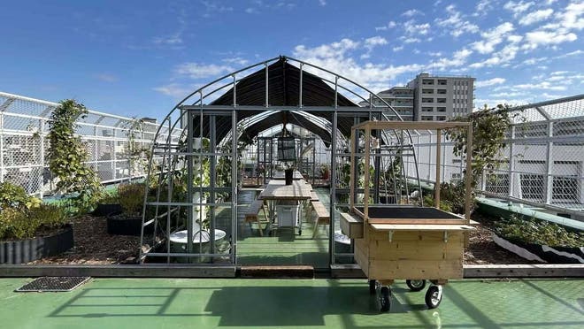 渋谷から一駅の池尻に誕生した、都会で人と自然がつながるルーフトップファームの写真1