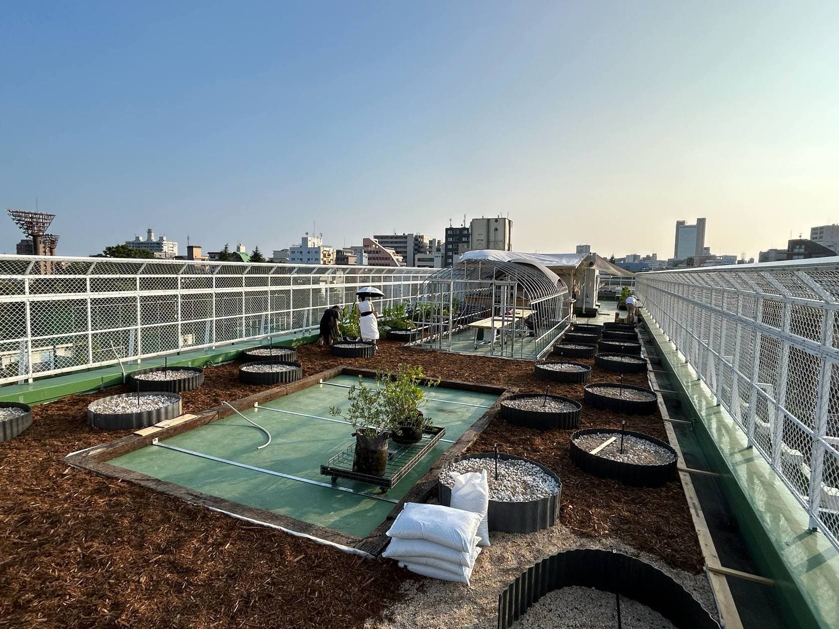 渋谷から一駅の池尻に誕生した、都会で人と自然がつながるルーフトップファームの写真2