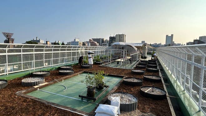 渋谷から一駅の池尻に誕生した、都会で人と自然がつながるルーフトップファームの写真2