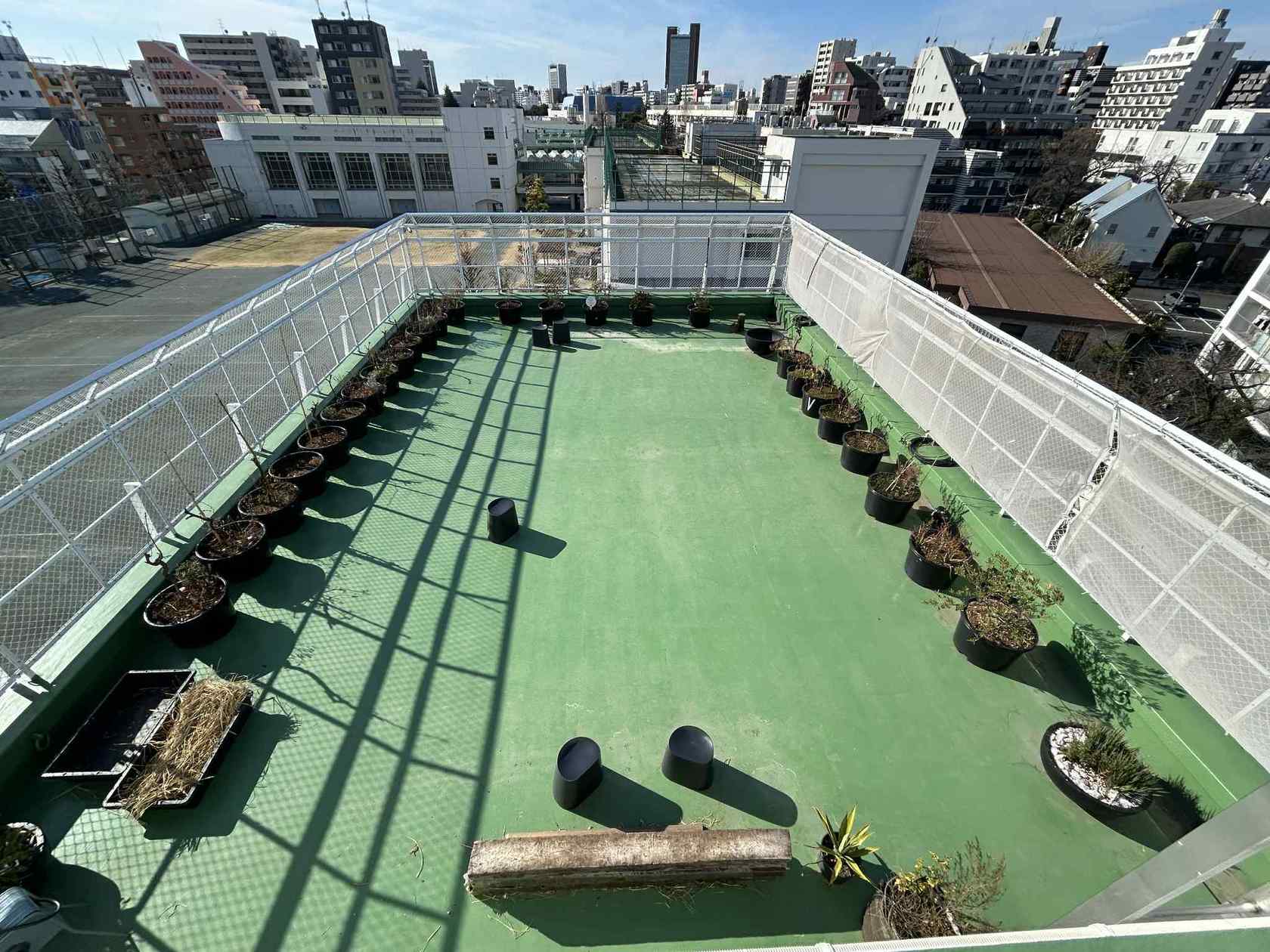 渋谷から一駅の池尻に誕生した、都会で人と自然がつながるルーフトップファームの写真14