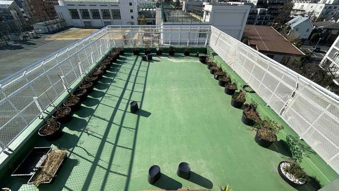 渋谷から一駅の池尻に誕生した、都会で人と自然がつながるルーフトップファームの写真14