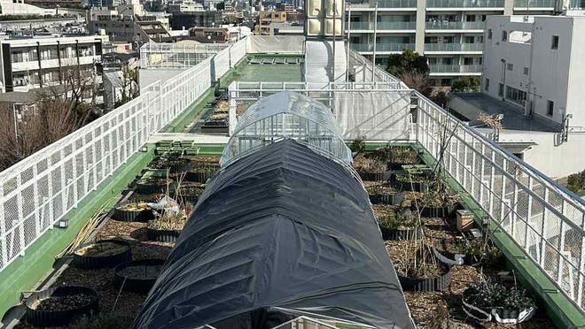 渋谷から一駅の池尻に誕生した、都会で人と自然がつながるルーフトップファームの写真15
