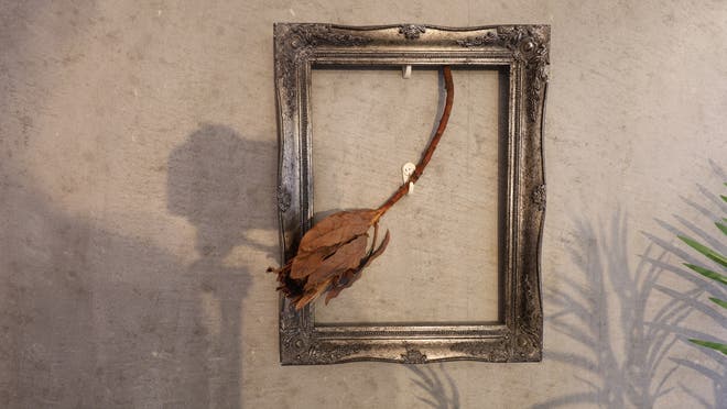 #ライオンGoburin601_2nd【新宿三丁目】最大15名🉐駅3分🥳新年会🍺歓送迎会🎉女子会・推し活・タコパ・撮影の写真11