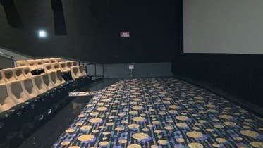 【旭川 178席】映画館で、会社説明会、株主総会、講演会の企画はいかがですか?の写真3