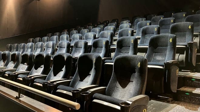 【入間 116席】映画館で、会社説明会、株主総会、講演会の企画はいかがですか?の写真2