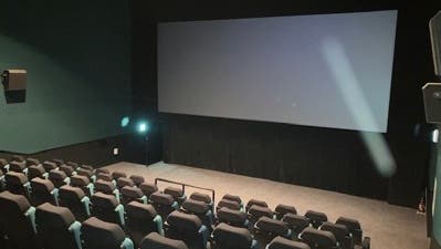 【春日部 95席】映画館で、会社説明会、株主総会、講演会の企画はいかがですか?の写真1