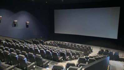 【春日部 268席】映画館で、会社説明会、株主総会、講演会の企画はいかがですか?の写真1