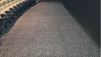 【わかば 165席】映画館で、会社説明会、株主総会、講演会の企画はいかがですか?の写真3