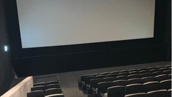 【わかば 146席】映画館で、会社説明会、株主総会、講演会の企画はいかがですか?の写真1