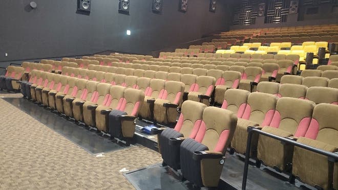 【幸手 320席】映画館で、会社説明会、株主総会、講演会の企画はいかがですか?の写真2