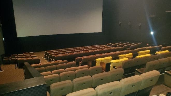 【幸手 286席】映画館で、会社説明会、株主総会、講演会の企画はいかがですか?の写真1