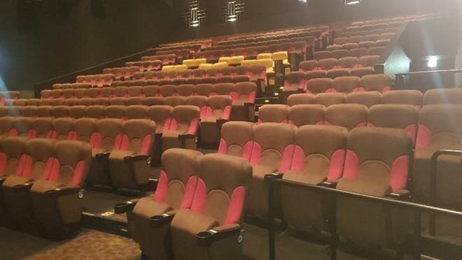 【幸手 286席】映画館で、会社説明会、株主総会、講演会の企画はいかがですか?の写真2