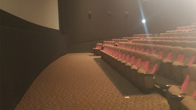 【幸手 286席】映画館で、会社説明会、株主総会、講演会の企画はいかがですか?の写真3