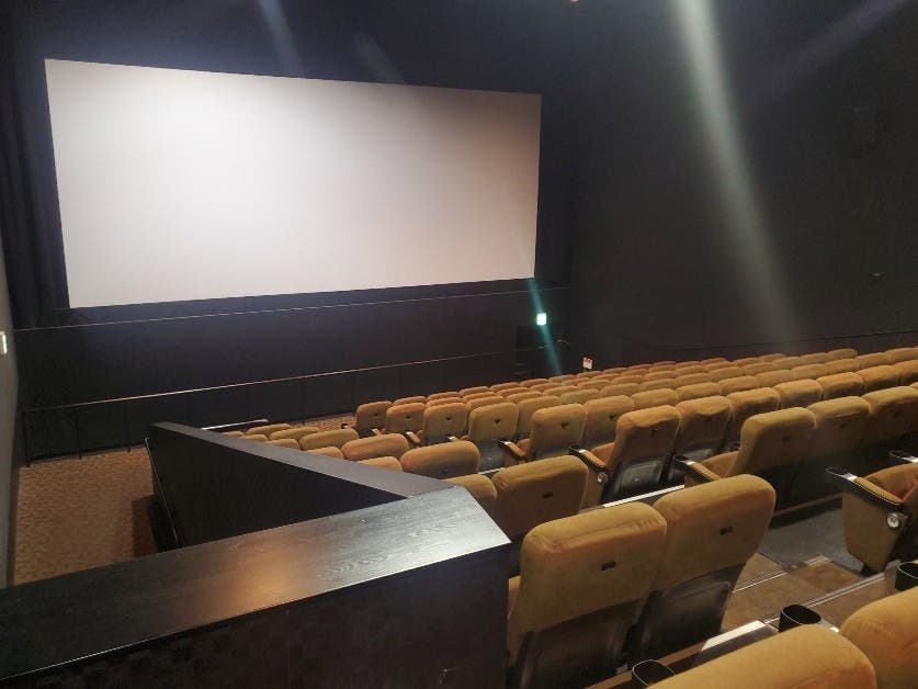 【幸手 137席】映画館で、会社説明会、株主総会、講演会の企画はいかがですか？の写真1
