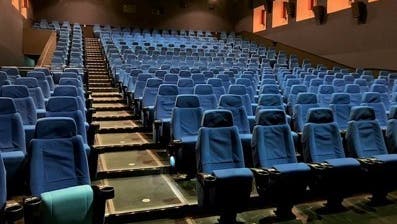 【上里 300席】映画館で、会社説明会、株主総会、講演会の企画はいかがですか?の写真2