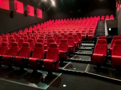 【上里 220席】映画館で、会社説明会、株主総会、講演会の企画はいかがですか？の写真2