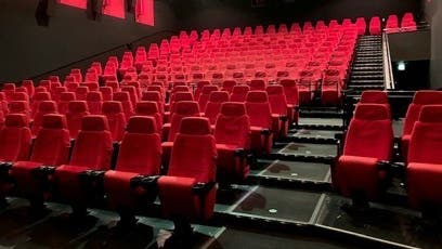 【上里 220席】映画館で、会社説明会、株主総会、講演会の企画はいかがですか?の写真2