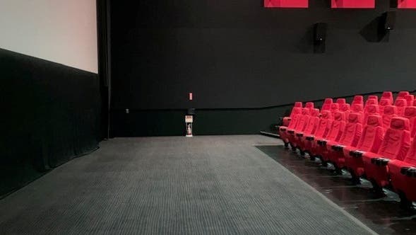 【上里 220席】映画館で、会社説明会、株主総会、講演会の企画はいかがですか?の写真3