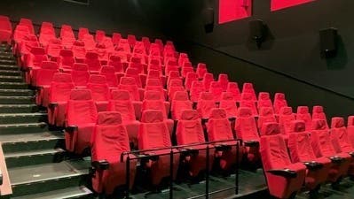 【上里 85席】映画館で、会社説明会、株主総会、講演会の企画はいかがですか?の写真2