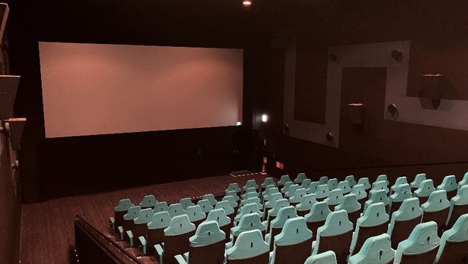 【南古谷 109席】映画館で、会社説明会、株主総会、講演会の企画はいかがですか?の写真1