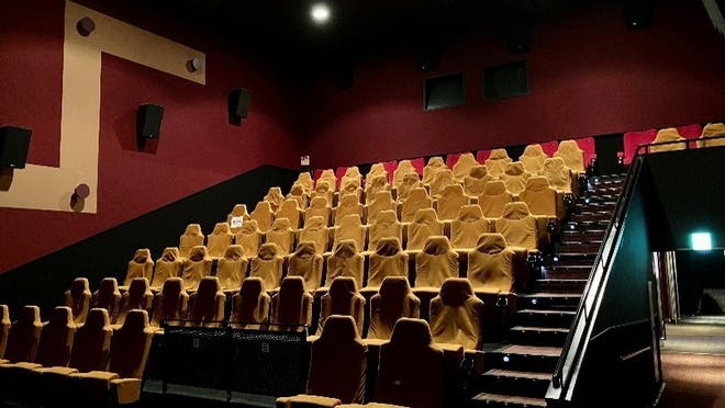 【南古谷 79席】映画館で、会社説明会、株主総会、講演会の企画はいかがですか?の写真2