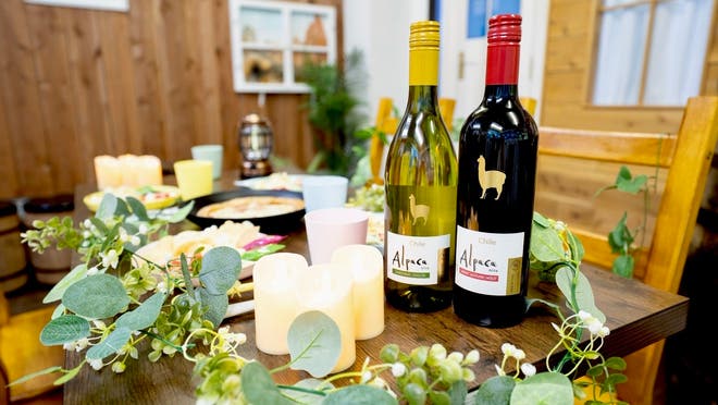 西新宿1分🚃特価🈹🎠2026年1月🆕🎠ポップ食べ放題🍿コーヒー🆓☕️ ボドゲ30以上🎲撮影配信🎥👌の写真2