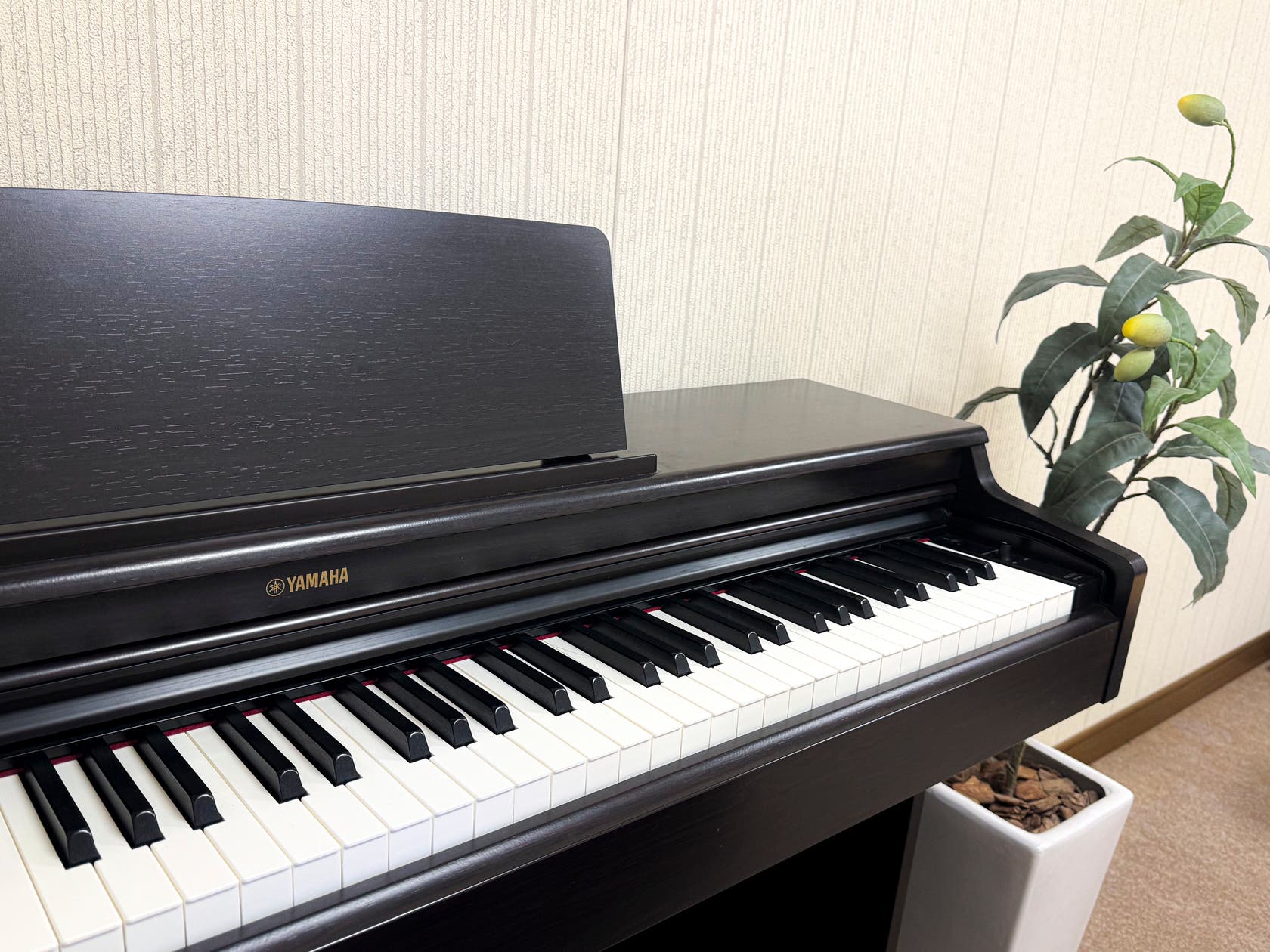 カワイ音響システム完全防音室★大音量可！★ヤマハ電子ピアノ常設の音楽スタジオ★航空公園・西所沢・新所沢★スタバ目印隠れ家♪の写真1