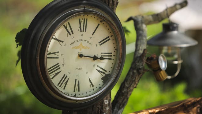 東京でキャンプやグランピング風な屋外撮影スタジオの写真2