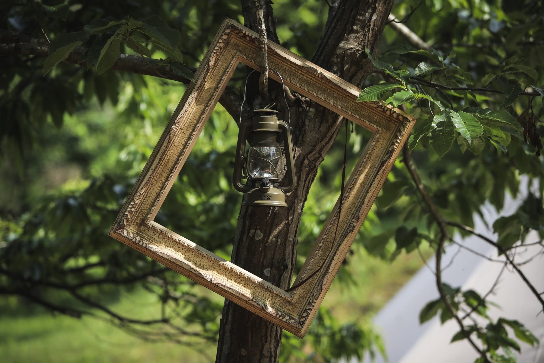 東京でキャンプやグランピング風な屋外撮影スタジオの写真3