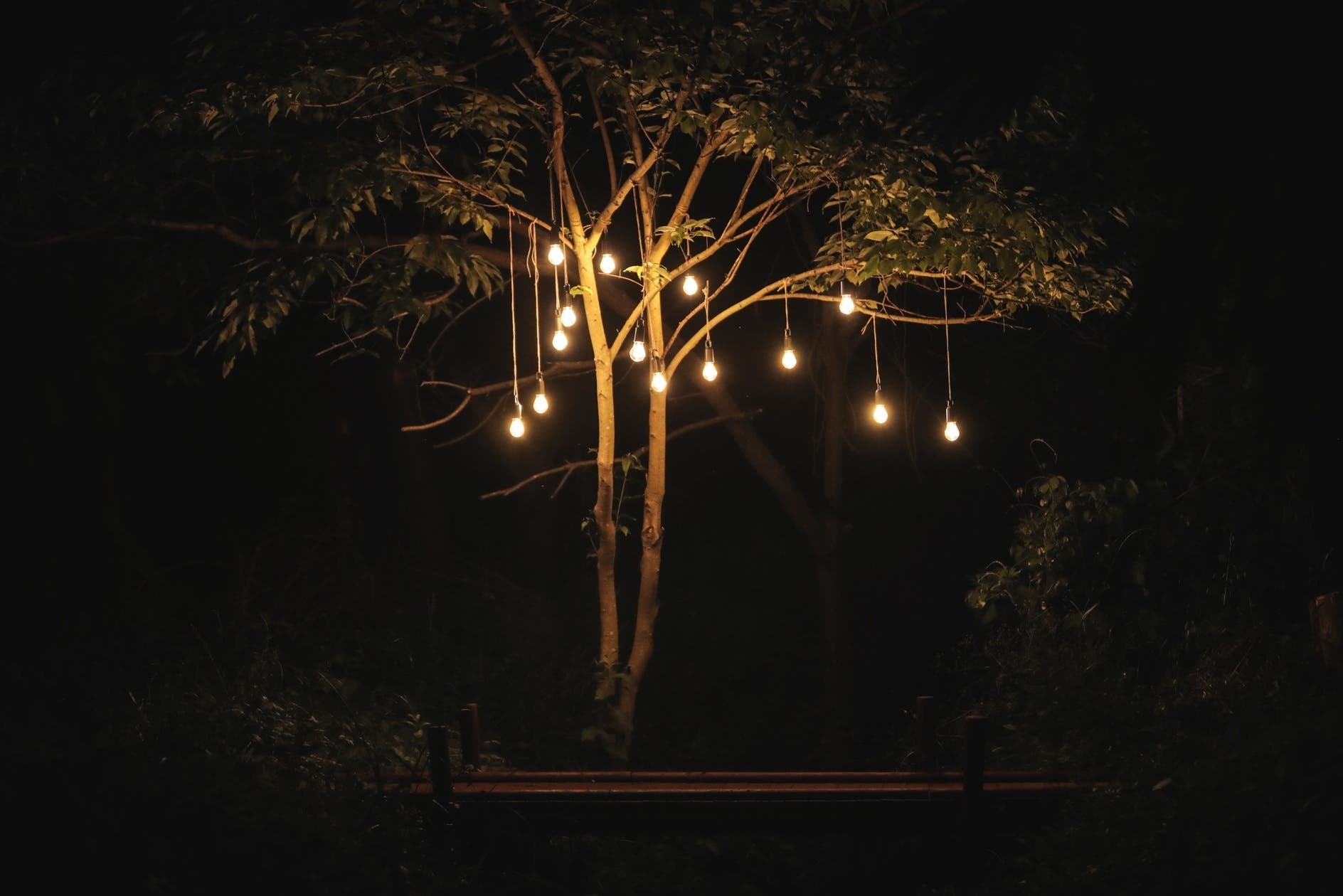 東京でキャンプやグランピング風な屋外撮影スタジオの写真13