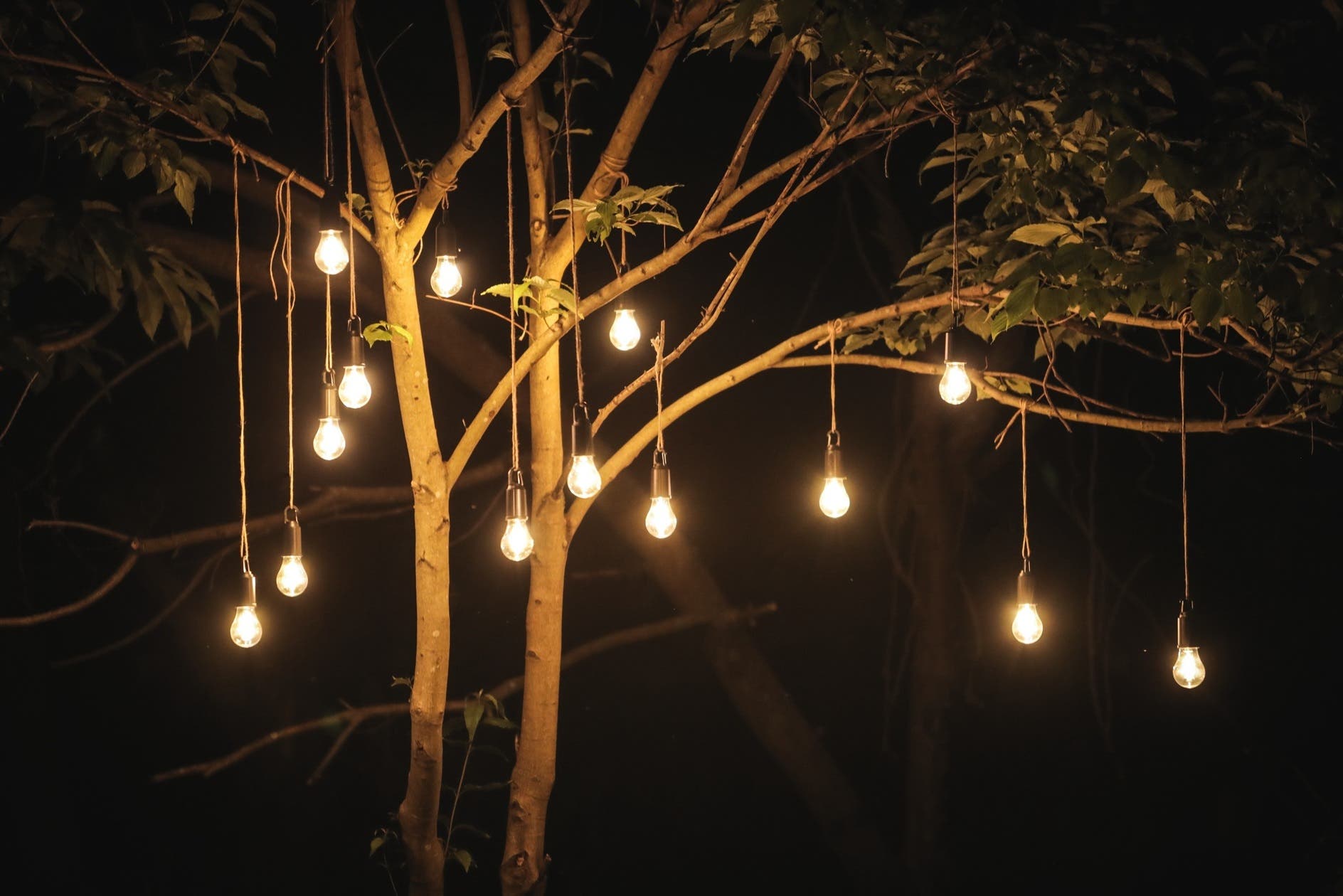 東京でキャンプやグランピング風な屋外撮影スタジオの写真14