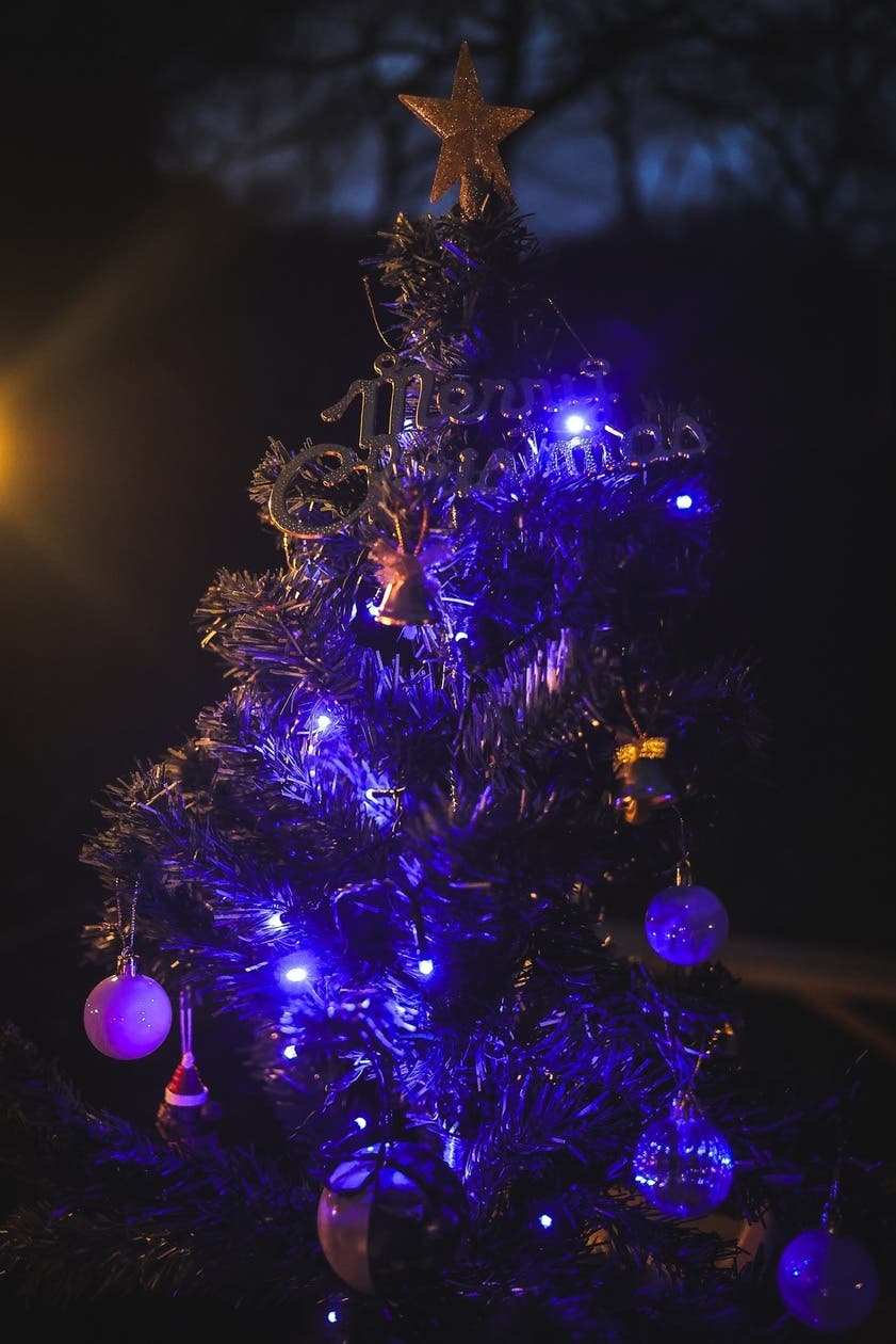 東京でキャンプやグランピング風な屋外撮影スタジオの写真23