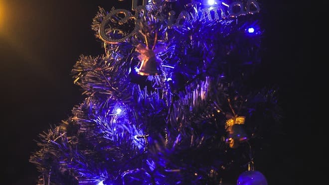 東京でキャンプやグランピング風な屋外撮影スタジオの写真23