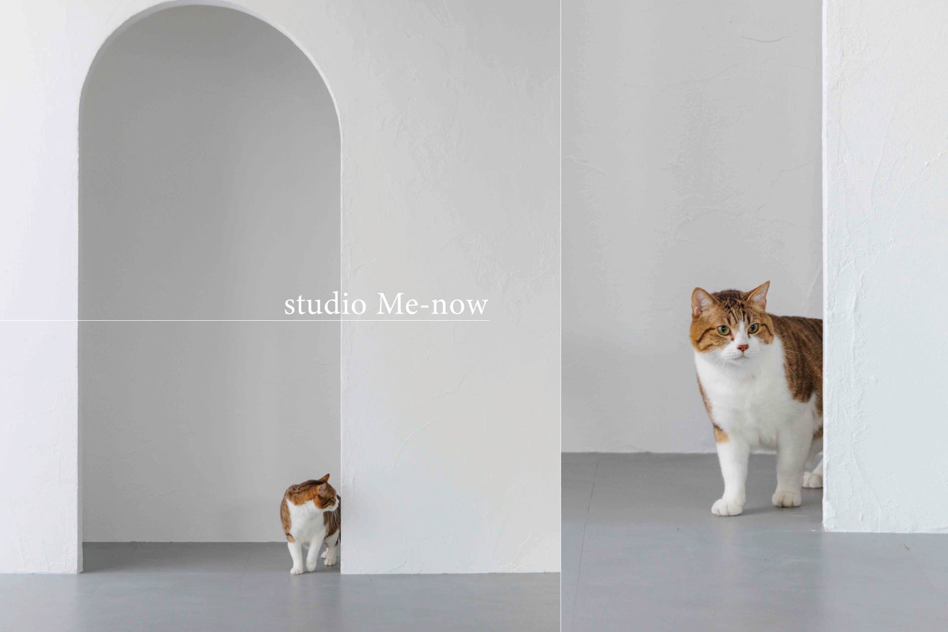 【湖北駅南口から徒歩約1分】アーチ漆喰壁×シックなグレー壁を備えた多用途撮影スタジオの写真2