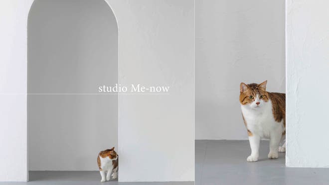 【湖北駅南口から徒歩約1分】アーチ漆喰壁×シックなグレー壁を備えた多用途撮影スタジオの写真2