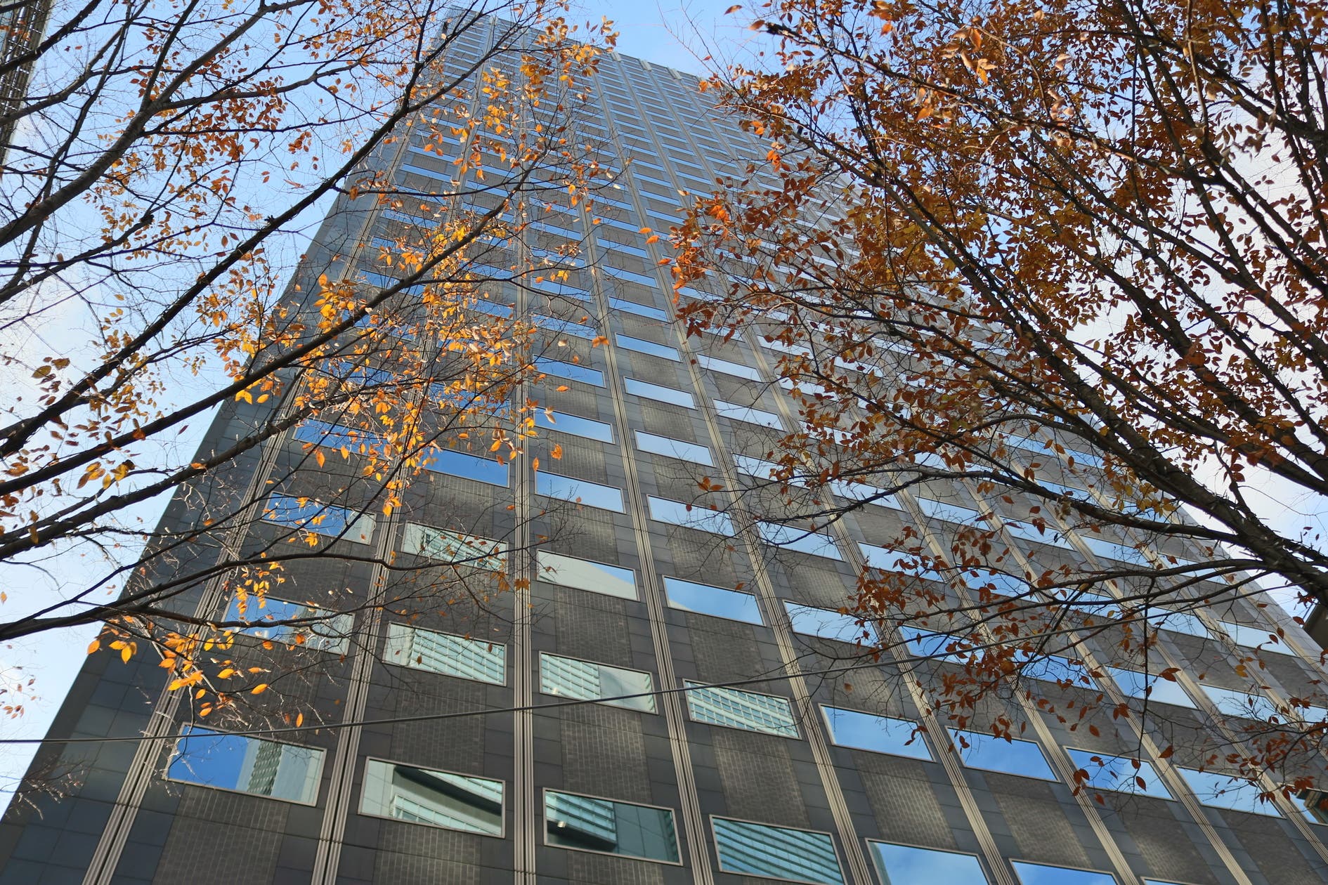 新宿駅A1出口直結 | 7日前までキャンセル無料【セミナールーム4 / アビタス】スタッフ常駐・相談会や展示会等幅広い用途に対応の写真13