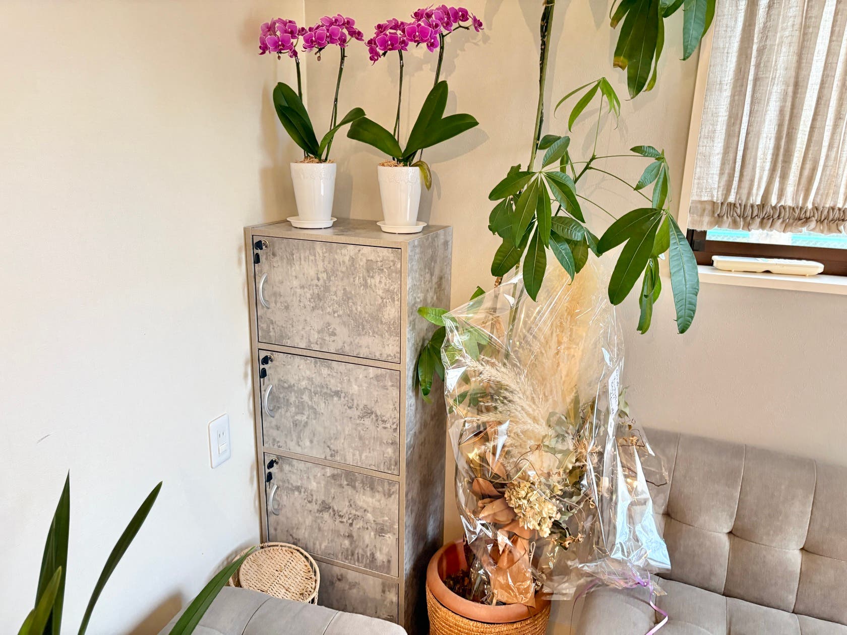 2025年10月オープン☆面がしスペース　オープンスペース広々の写真4