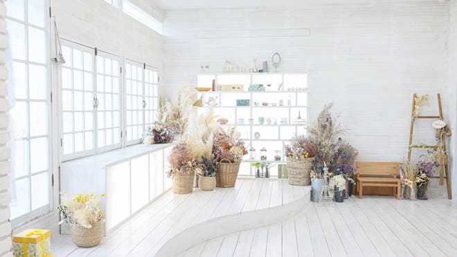 代官山駅近 白ホリ・インテリア 貸切スタジオの写真1