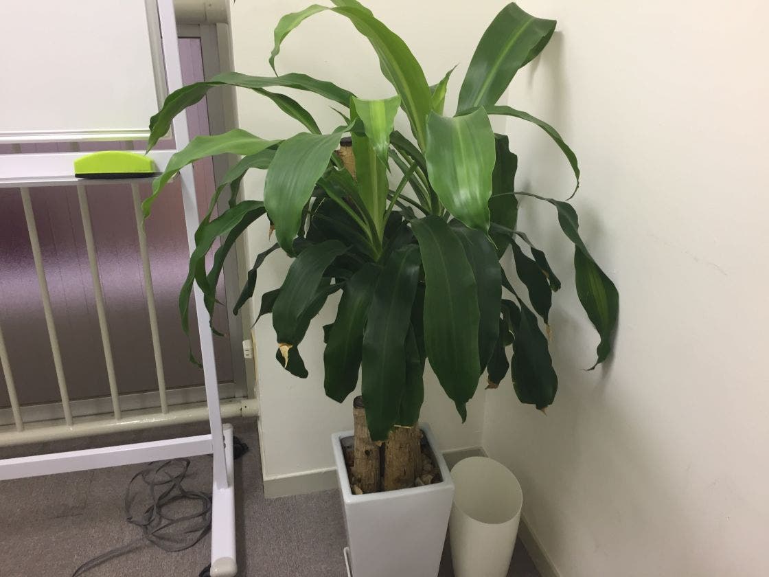 【五反田・大崎広小路駅より5分】4〜10名会議室。格安の写真7