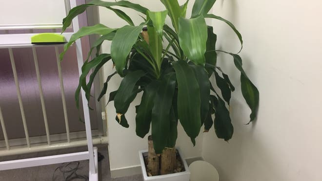 【五反田・大崎広小路駅より5分】4〜10名会議室。格安の写真7