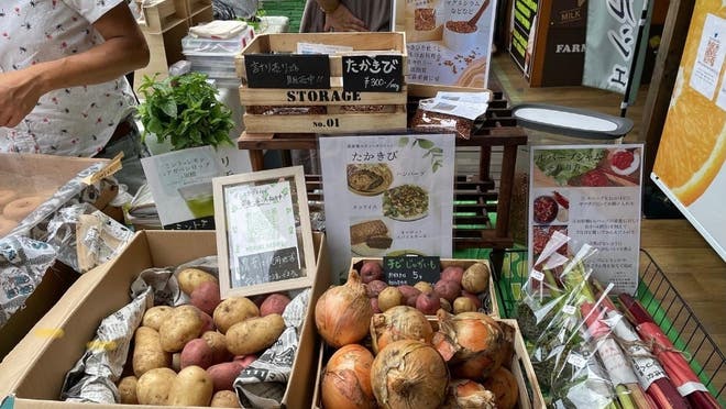 鎌倉大仏前のお土産屋のデッキの写真6