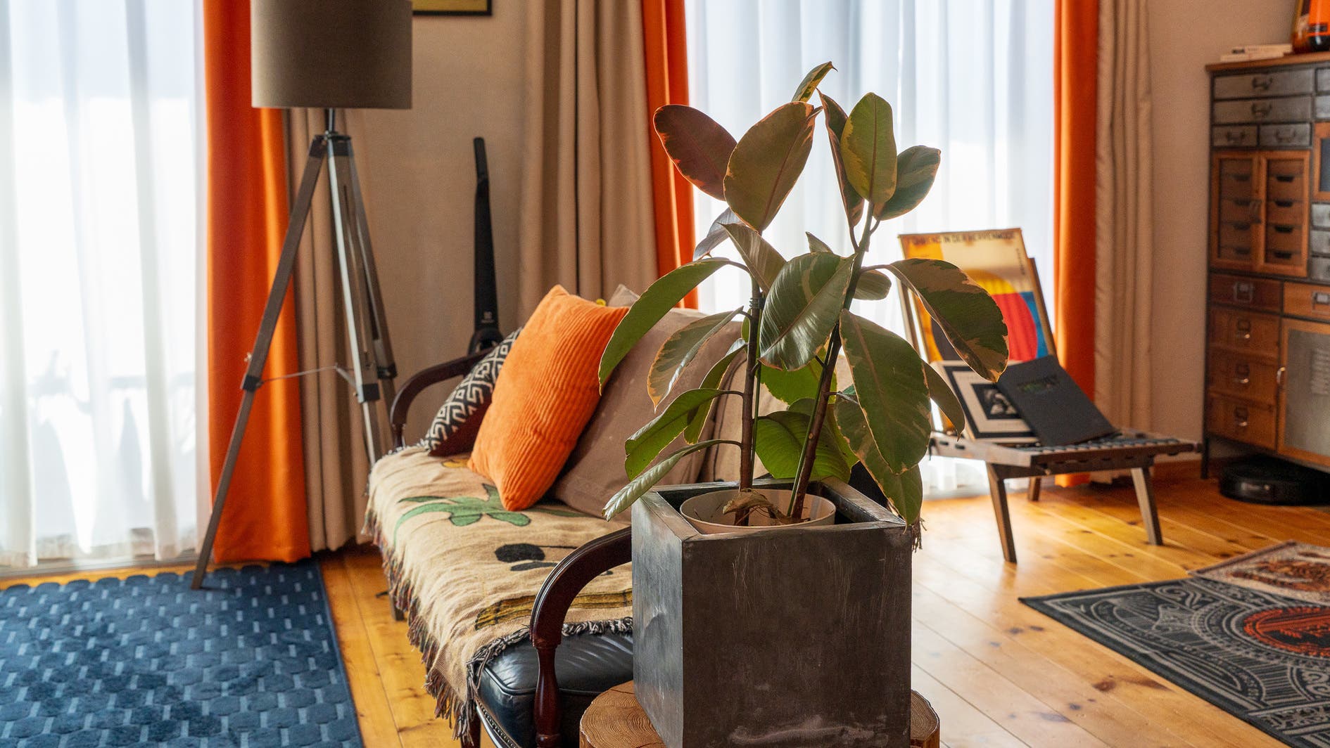 編集者が暮らす、20.5畳リビング撮影向けハウススタジオ。小型犬OK。246沿い・駐車場ありの写真3