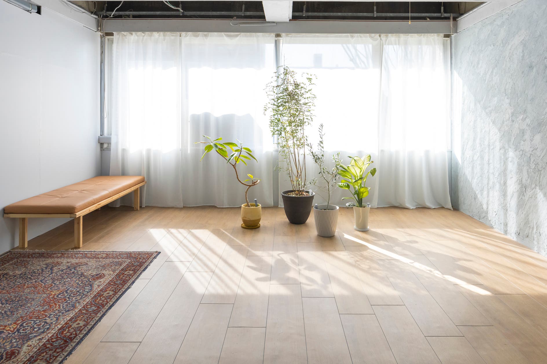 【優しい光の撮影空間】ROOMスタジオの写真6