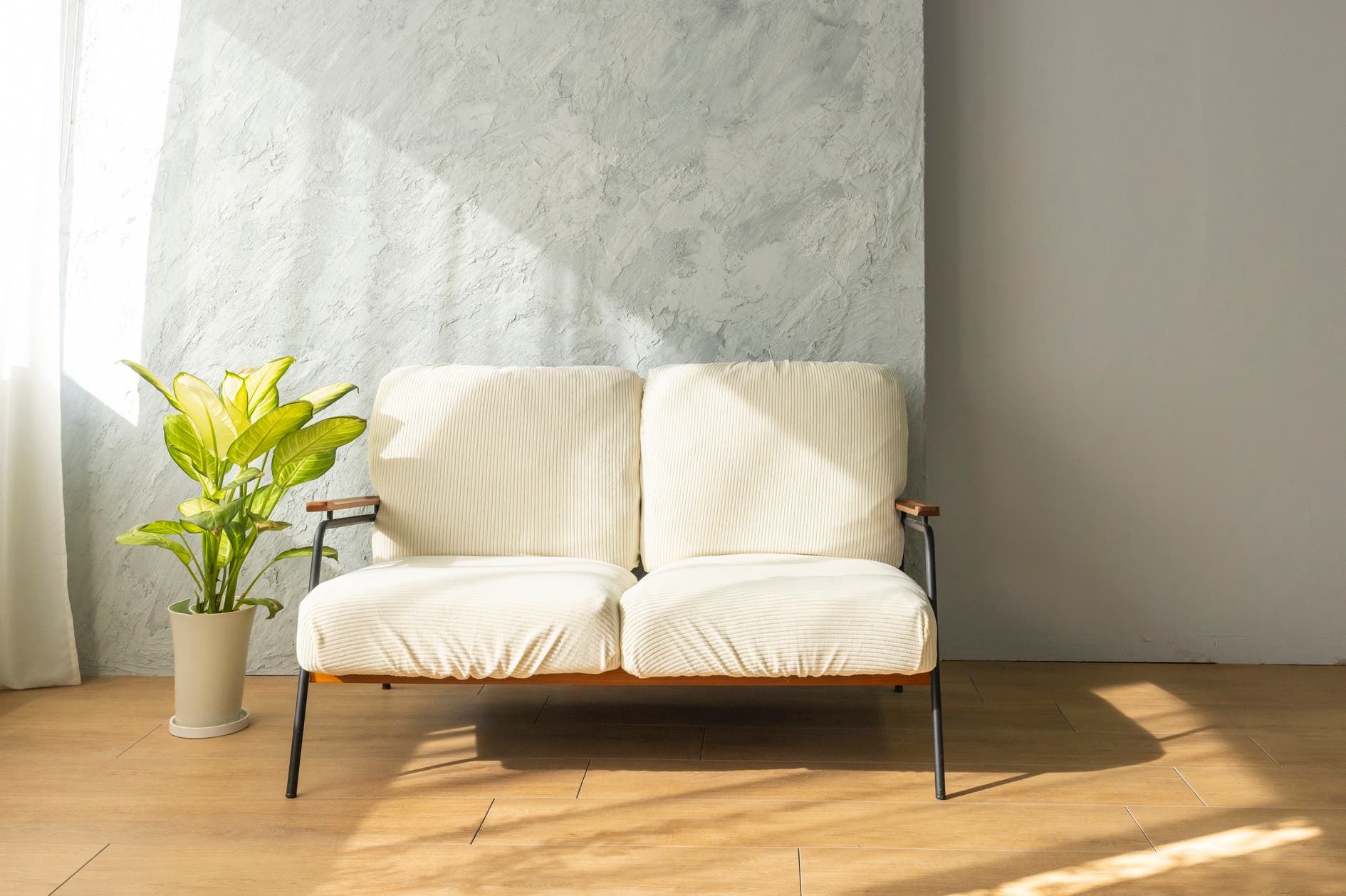 【優しい光の撮影空間】ROOMスタジオの写真7