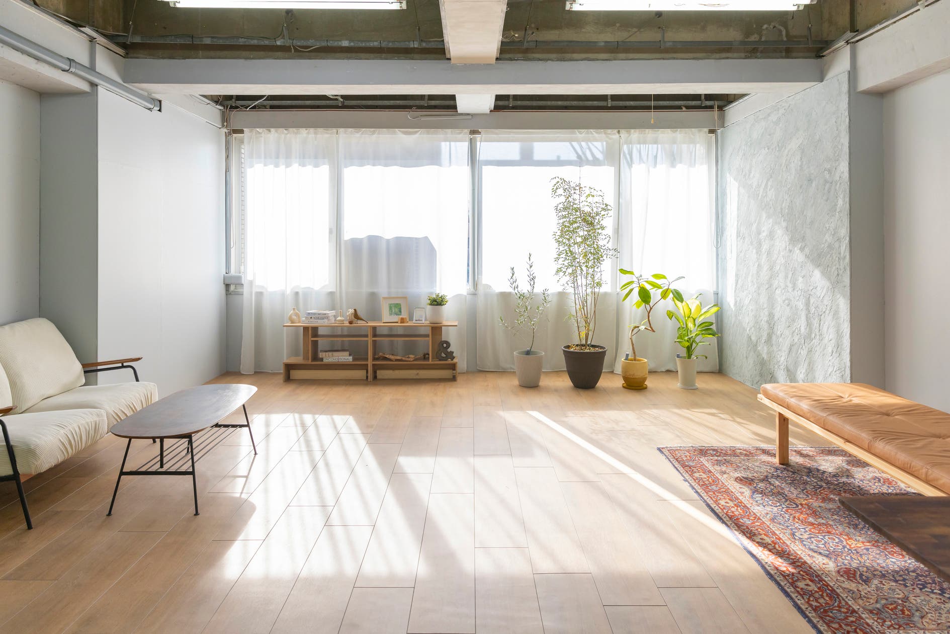 【優しい光の撮影空間】ROOMスタジオの写真1