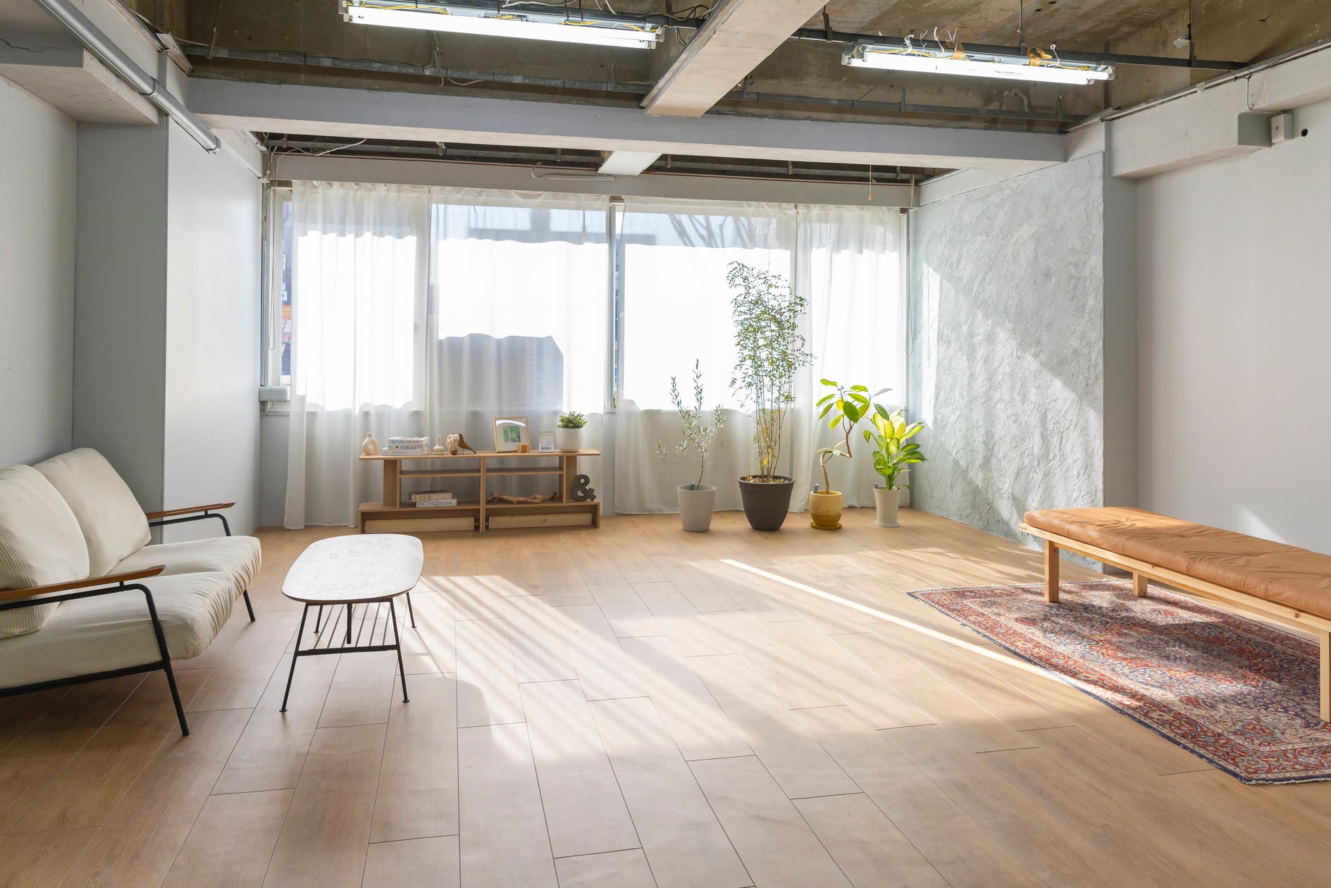 【優しい光の撮影空間】ROOMスタジオの写真4