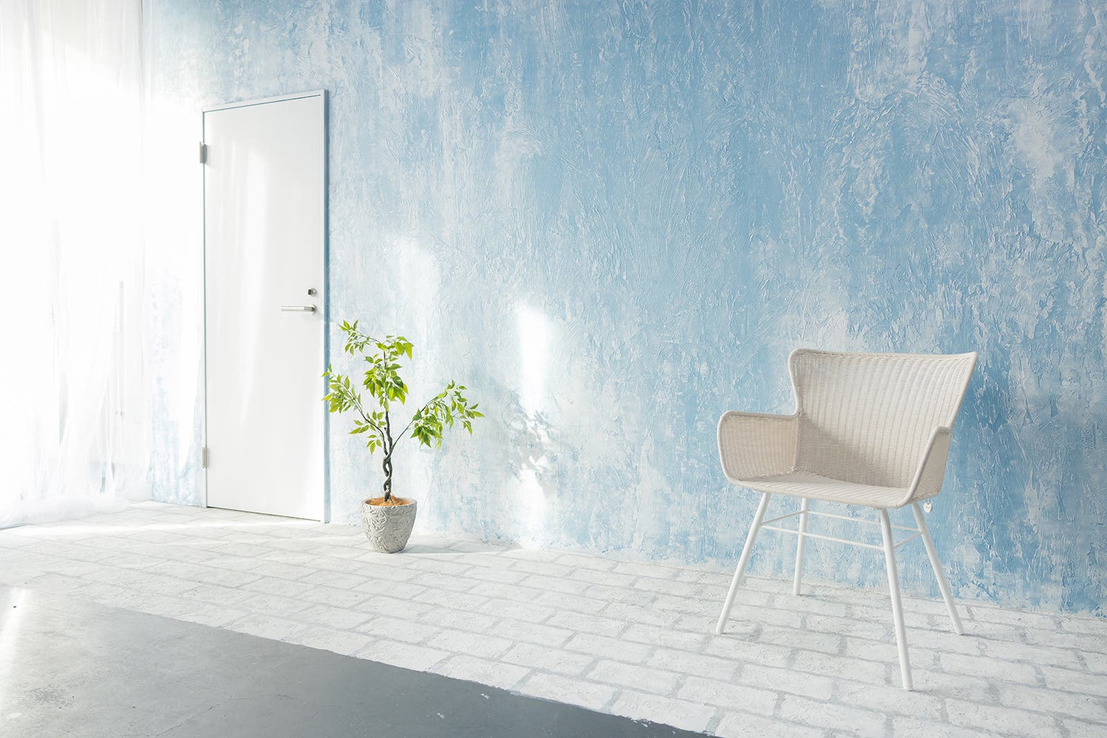 バイクなどの車両や大型犬もOK 自然光で撮れる4mのダーク壁とガルバリウム　大型照明常設の写真2