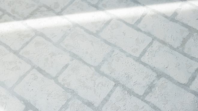 バイクなどの車両や大型犬もOK 自然光で撮れる4mのダーク壁とガルバリウム 大型照明常設の写真10