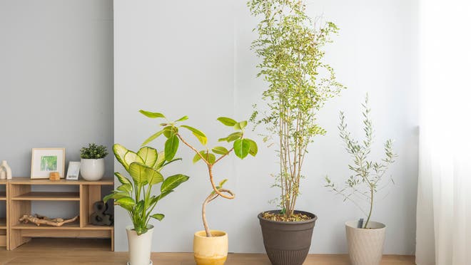 プロカメラマンが考えた”撮る人のための理想空間を”この二つのスペースでの写真11